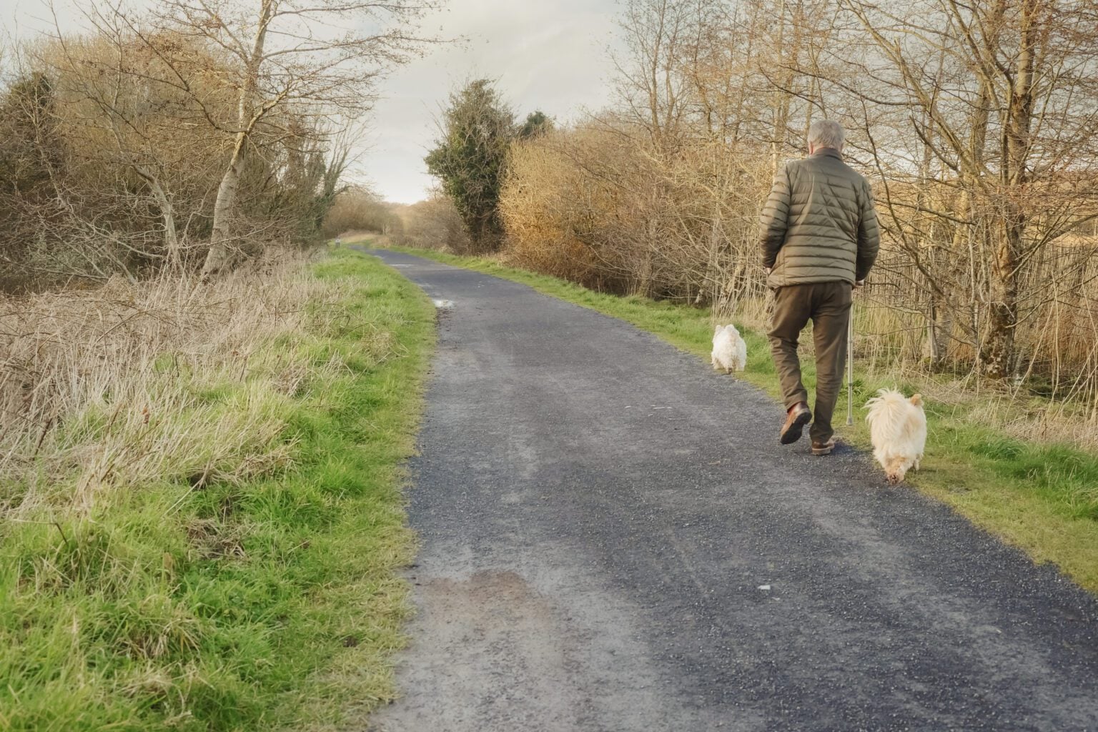 What to Do When Your Knee Feels Unstable or Weak